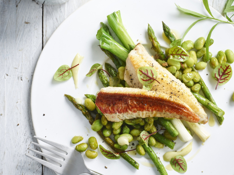 Gebakken roodbaars met dragonmayonaise en lauwwarme salade - Libelle Lekker