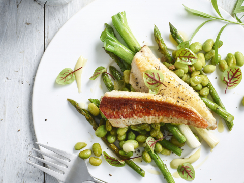 Filet de sébaste rôti, mayonnaise à l’estragon et salade tiède ...