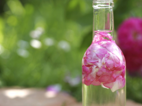 Vinaigre à la rose - Cuisine et Recettes - Recette - Femmes d’Aujourd ...