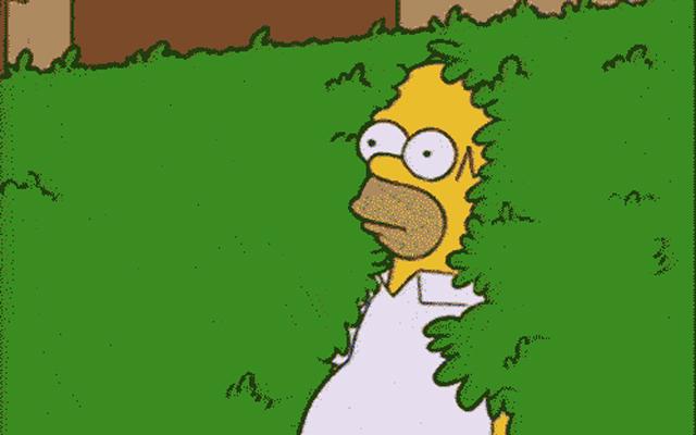 LOL: in dit spelletje moet je Homer Simpson verbergen in de struiken