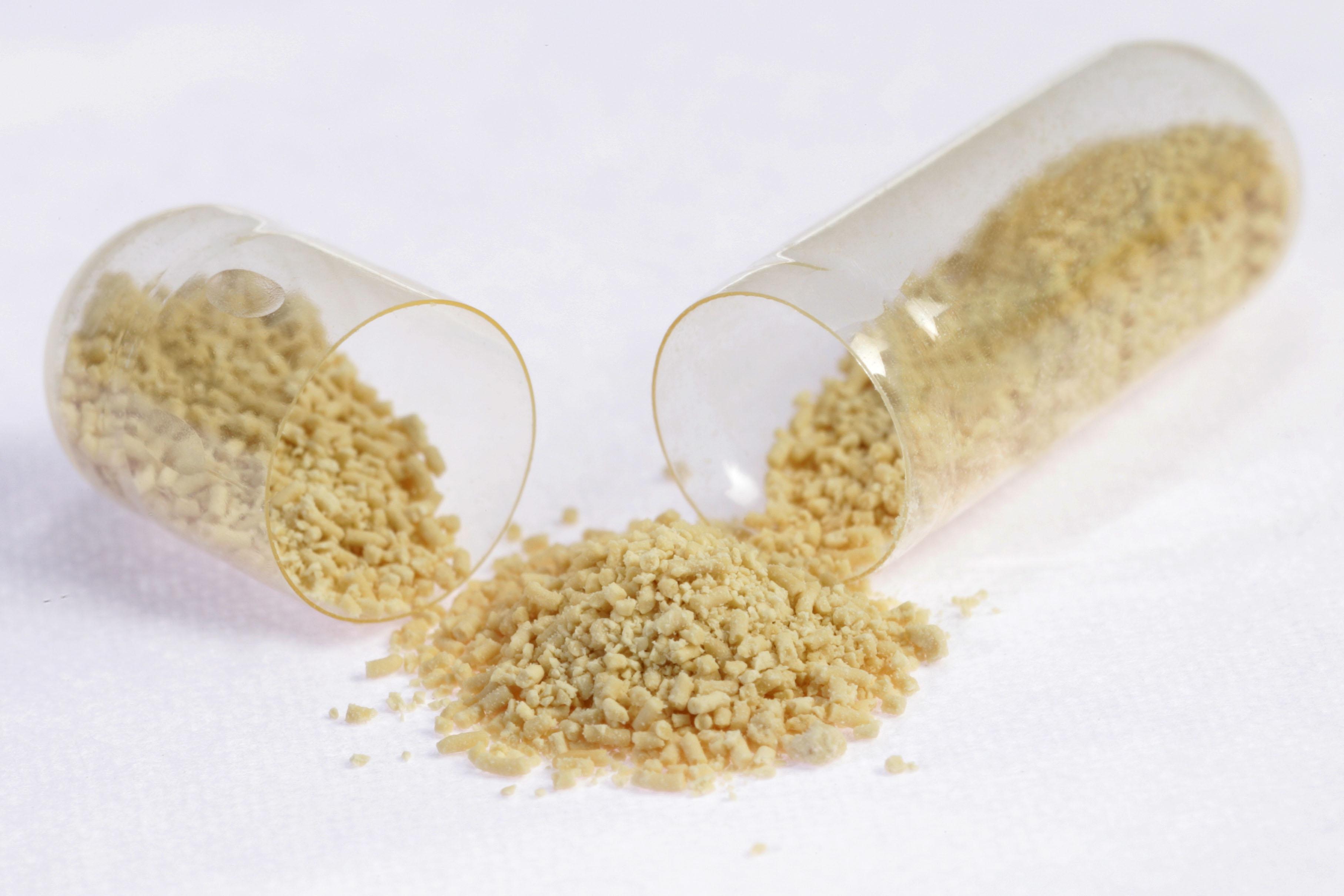 Levure fraîche ou levure sèche? - Cuisine et Recettes - Recette ...