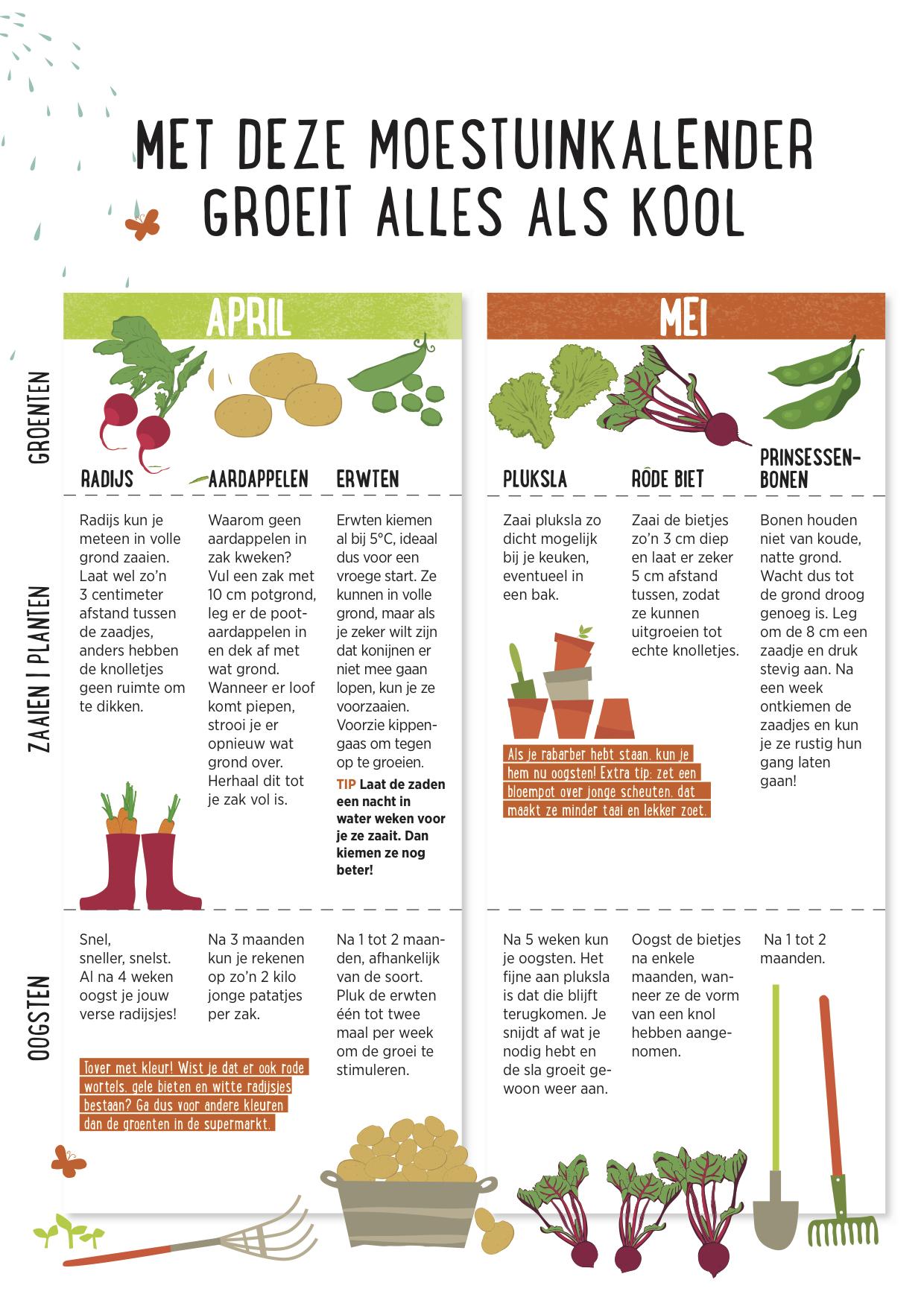 Gratis printables: moestuinkalender en zaailabels - Libelle Lekker