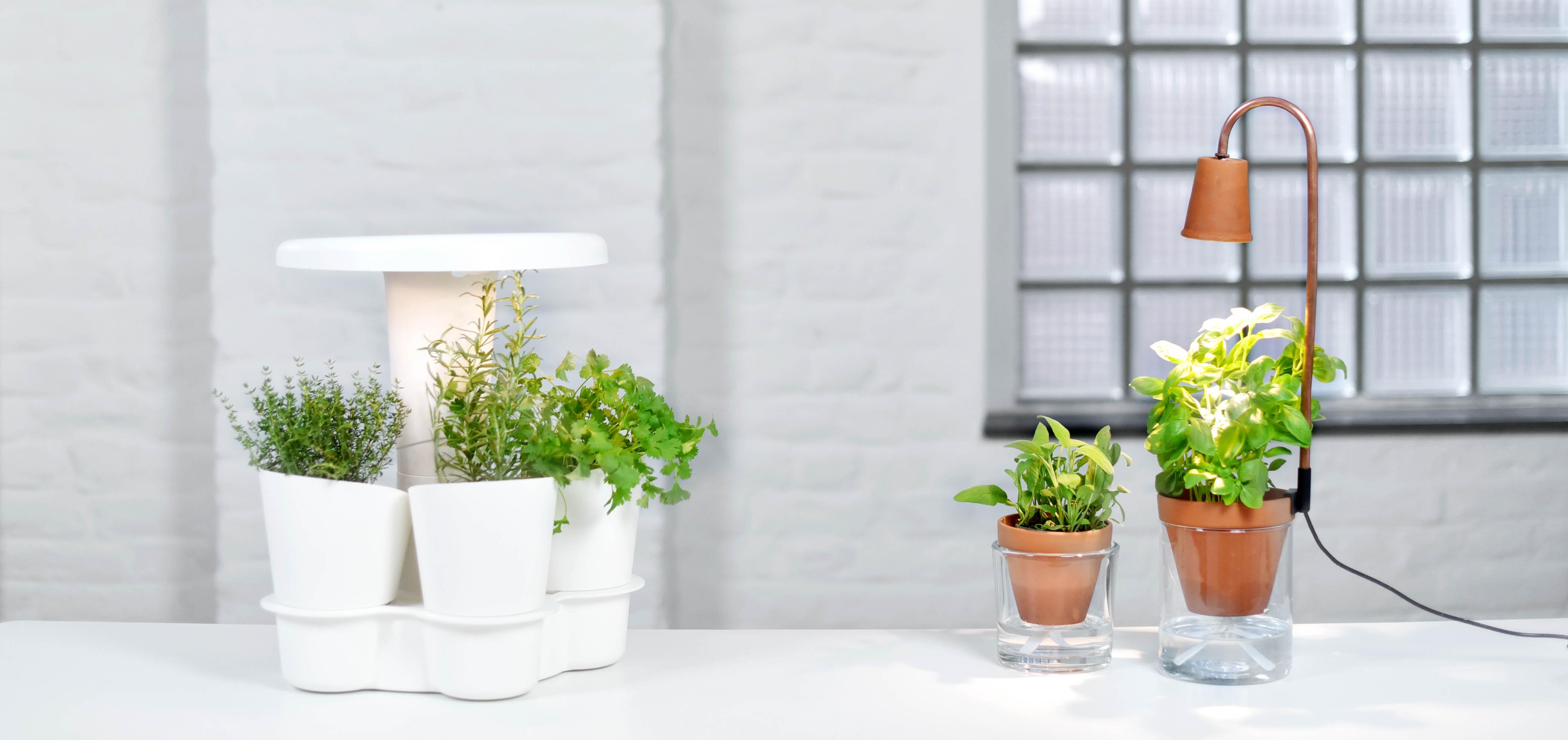 Fini de tuer nos plantes grâce à ce pot intelligent (sublime en prime)