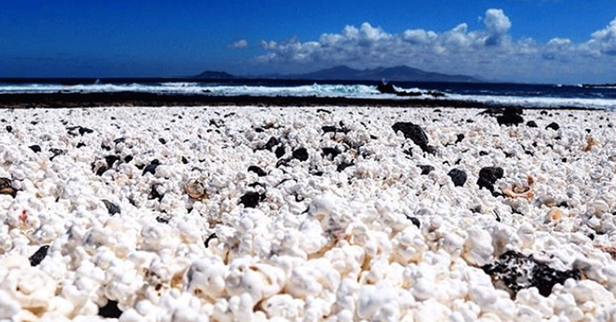 WAUW: dit popcornstrand komt onmiddellijk op onze bucketlist