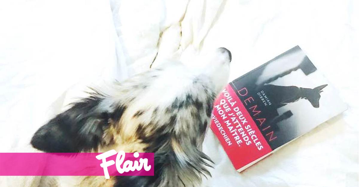 Flair Book Club: "Demain", un roman que les fans de chiens (et d ...