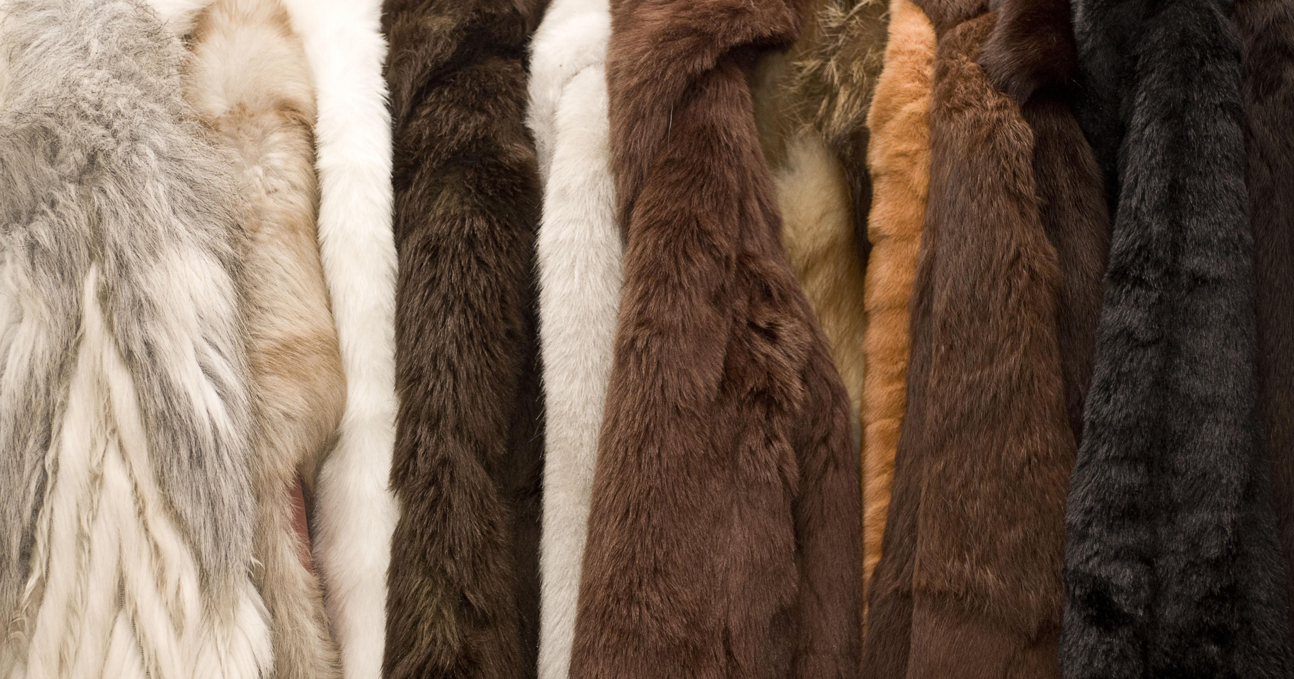 California wordt de eerste Amerikaanse staat die bont bant