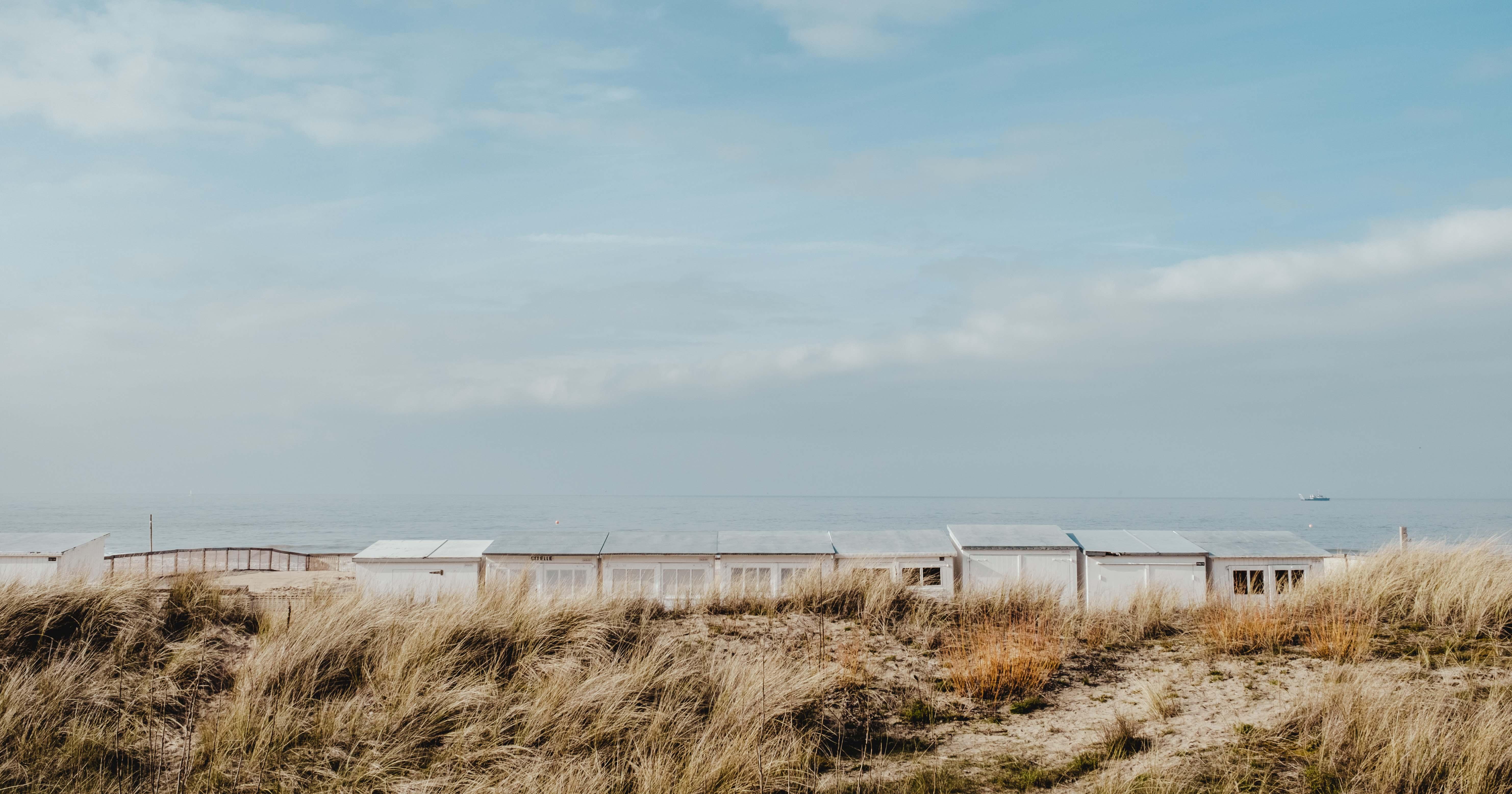 Natuur aan de kust? Dit zijn de 6 mooiste natuurgebieden