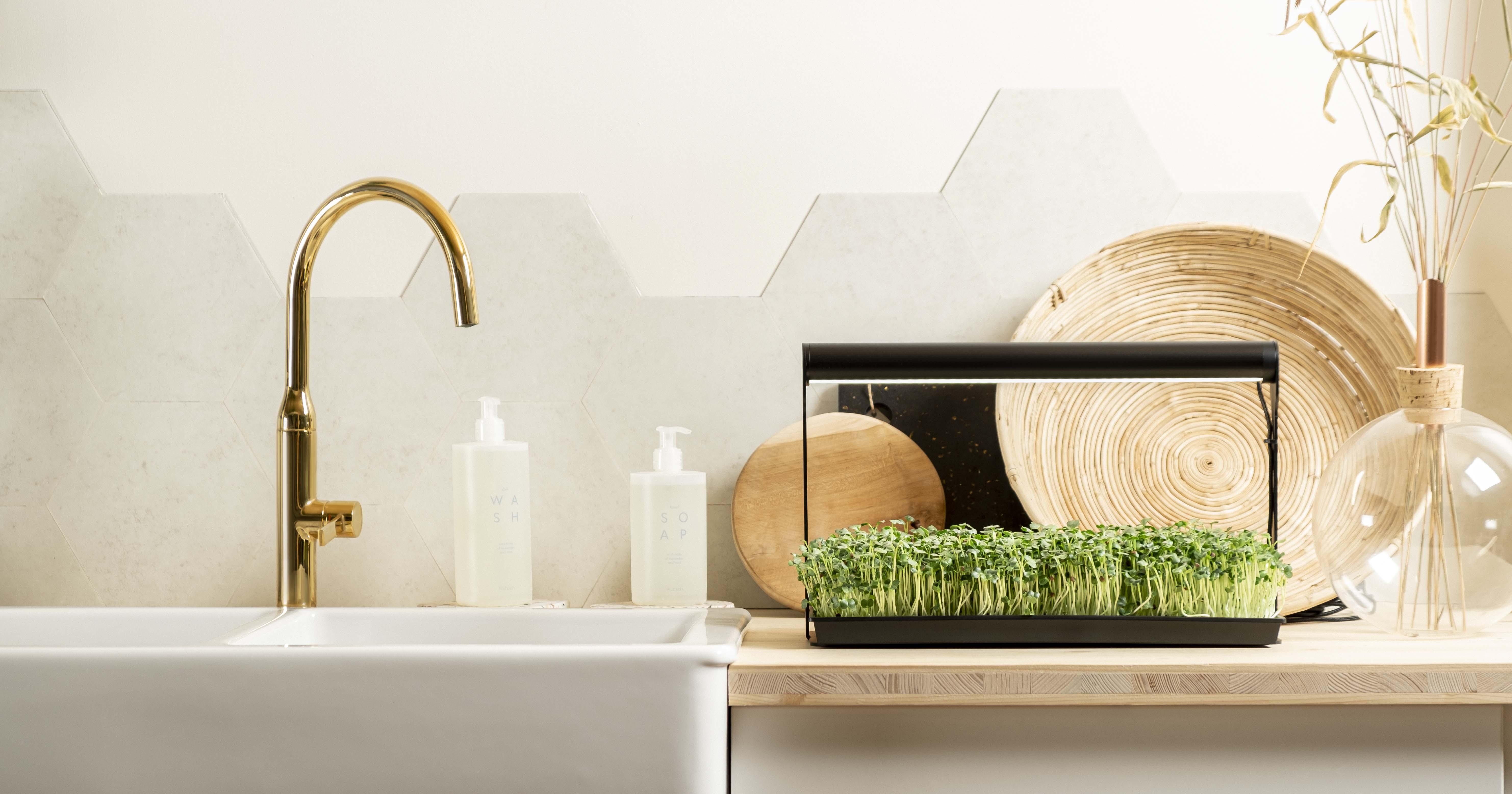 Met de microfarms van Mother kweek je microgroenten in 7 dagen tijd