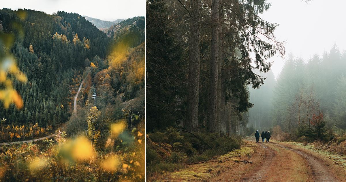 De vallei van de Warche, dé plek voor een rustgevende wandeling