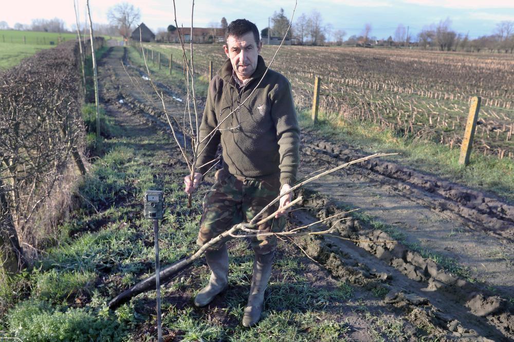 Patrick Trio wil bomenvandalisme bestrijden met een nachtcamera - KW.be
