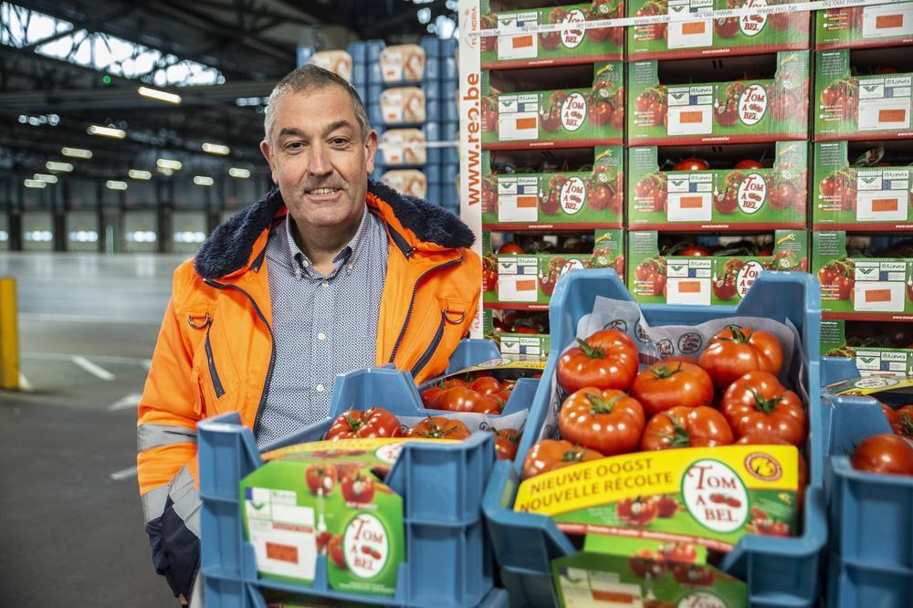 REO Veiling boekt recordomzet, tomaten absolute topper - KW.be