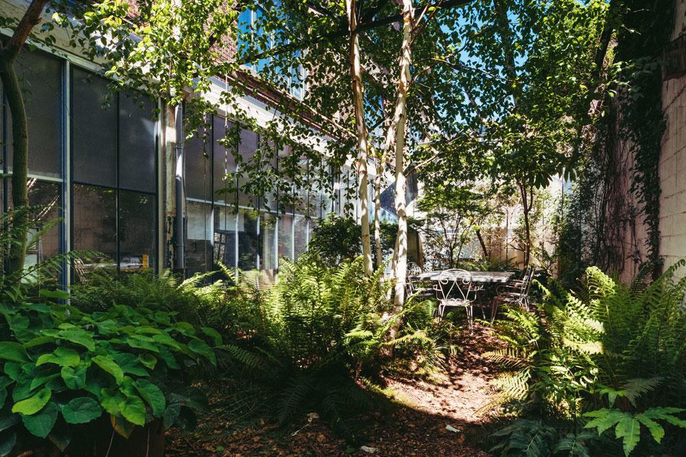 De natuur mag ontploffen: Jan Minne creëerde een weelderige binnentuin ...