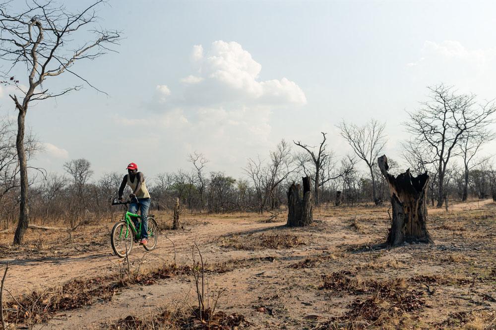 Le Zimbabwe sur le point de subir une famine "créée par l'homme"