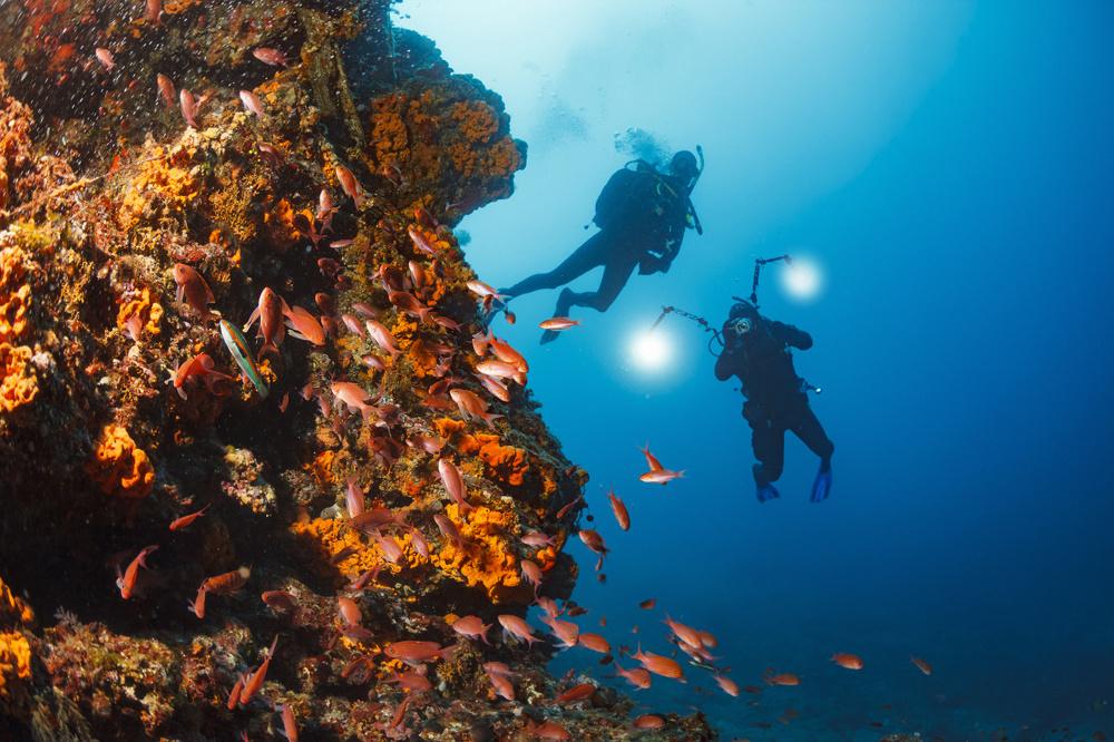 Un trek de quatre semaines sous la mer à 120 m de profondeur