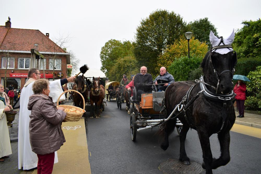 Viervoeters veroveren Beselare - KW.be