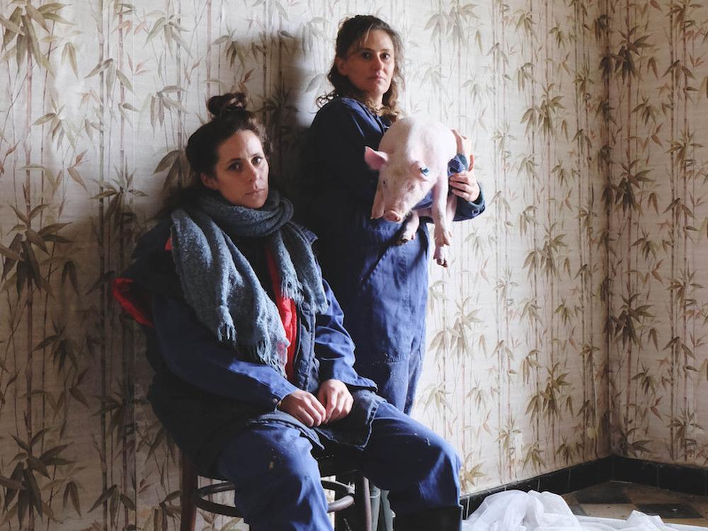 Wint actrice Janne Desmet opnieuw Ensor voor beste actrice? “Ik gun het ...