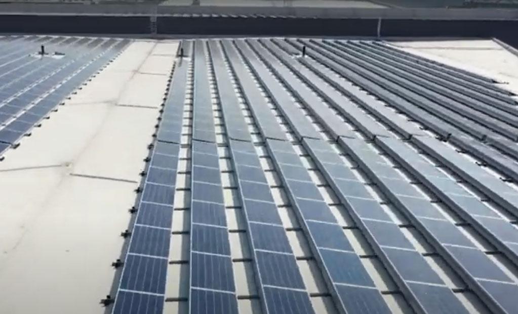 Groeimotor 7C Solarparken draait op volle toeren - Trends Kanaal Z