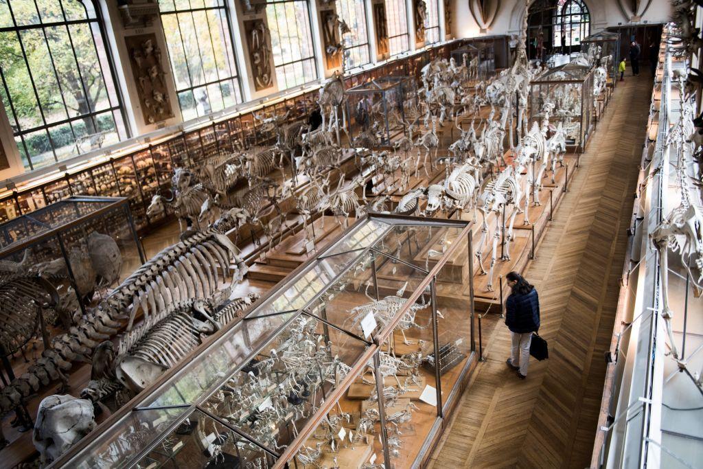 Ce musée est le plus visité de Belgique