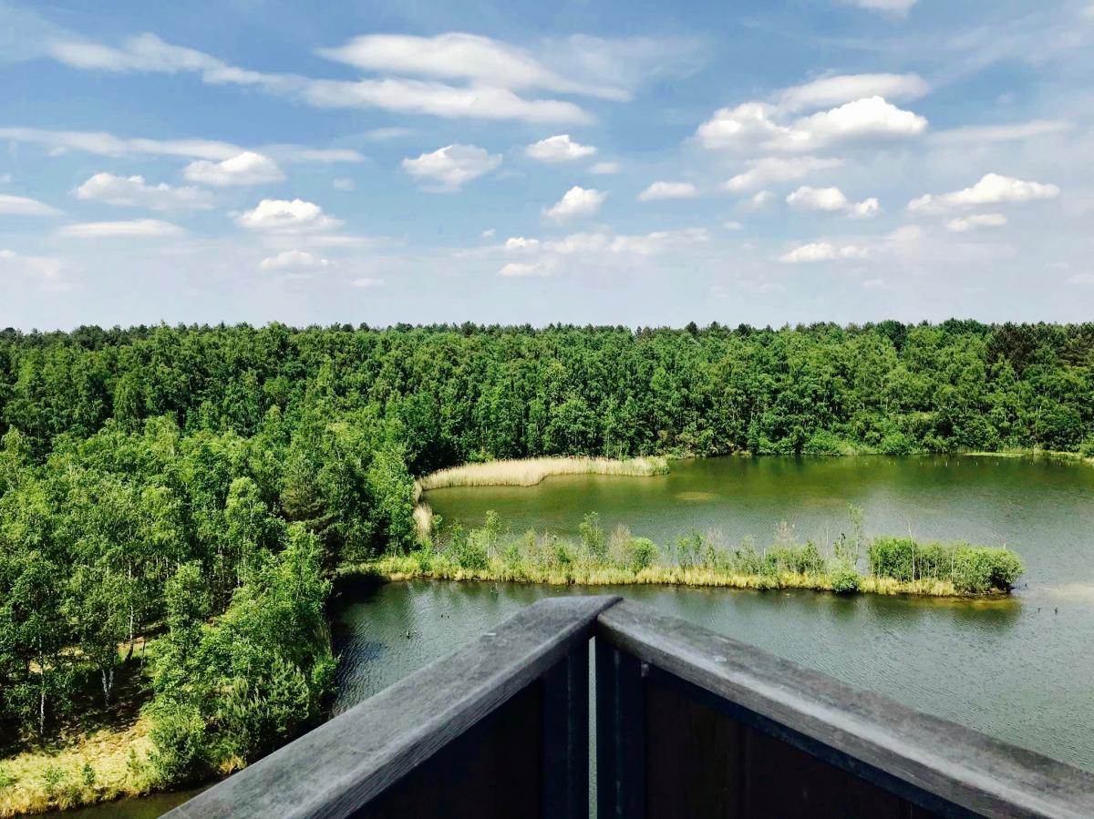 Le Sahara de Lommel, un havre de paix à découvrir en Belgique