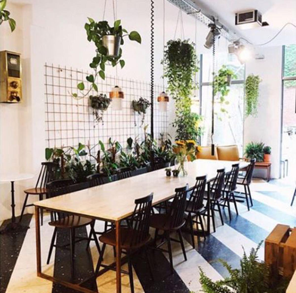 Cuperus in Antwerpen: koffie en co-worken in een urban groene setting