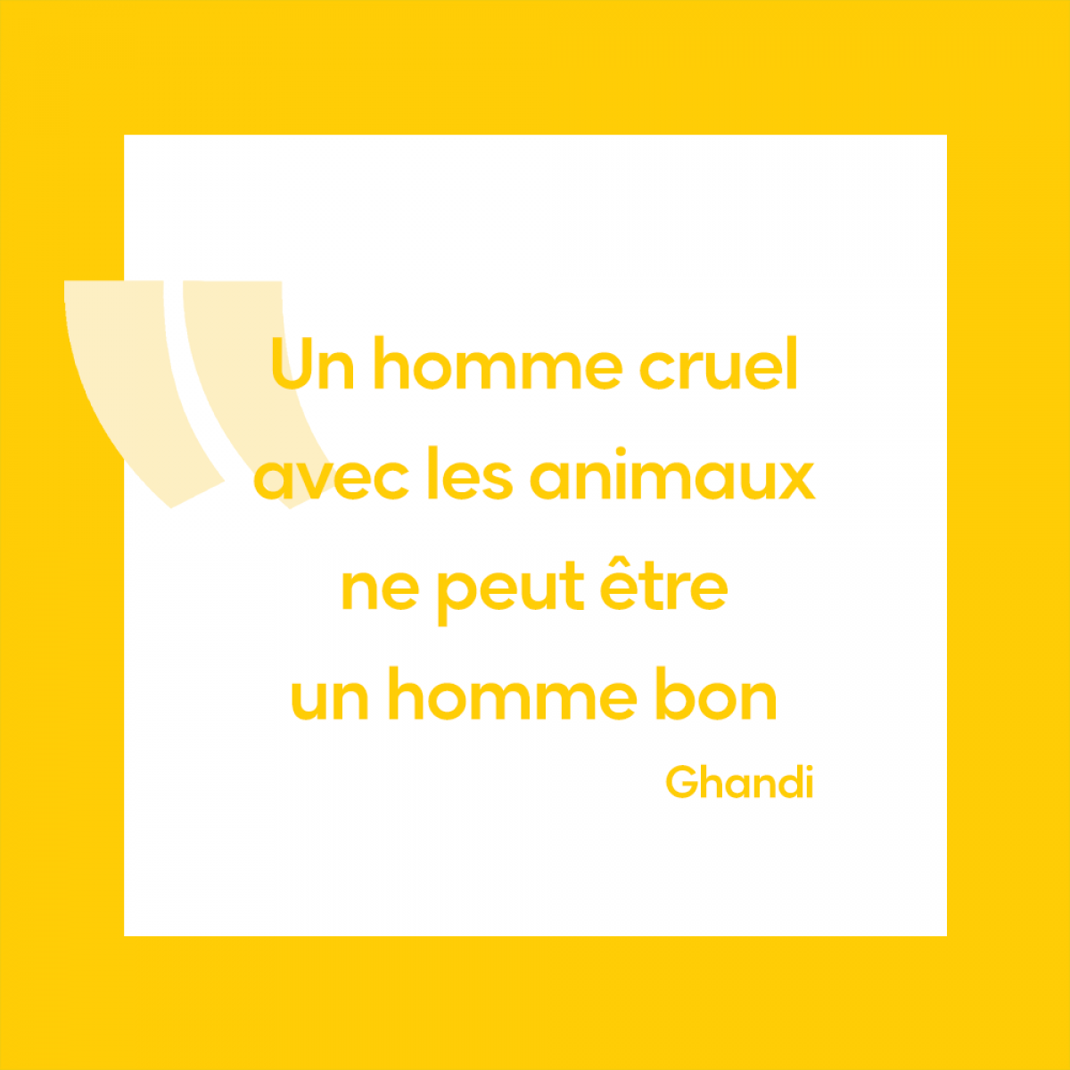 12 citations qui parleront aux amoureux des animaux