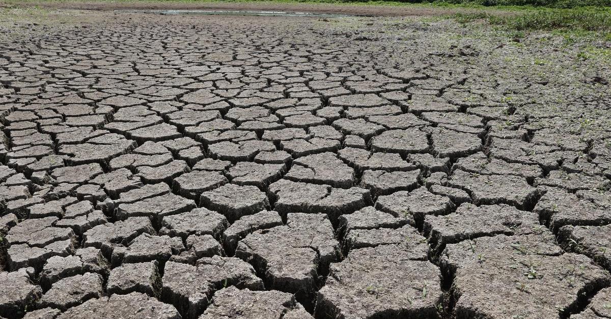 Onderzoek om droogte van zomer 2022 als natuurramp te erkennen loopt ...