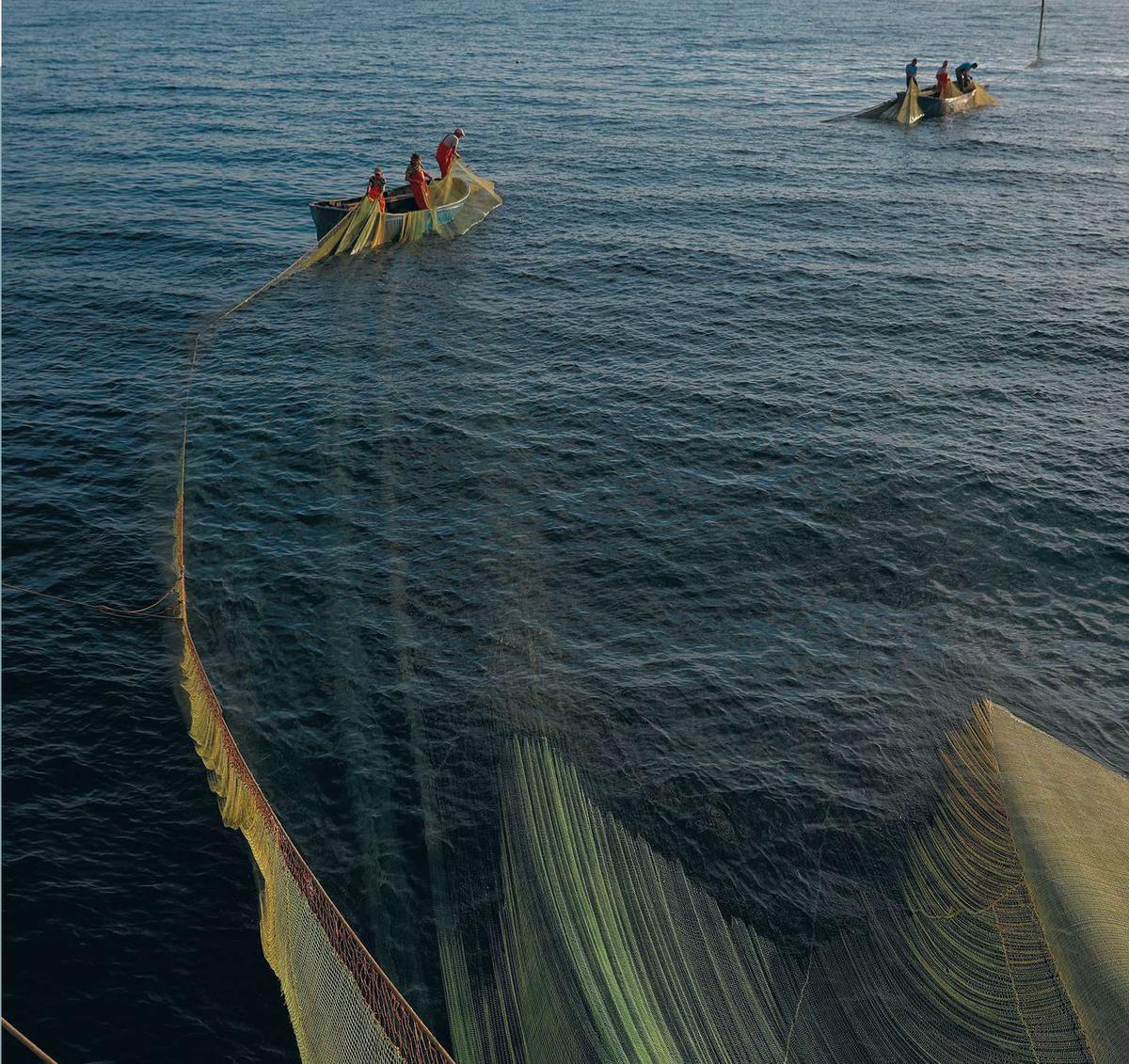Des cannes à la place des filets, Philippe Mahieu a choisi une pêche ...