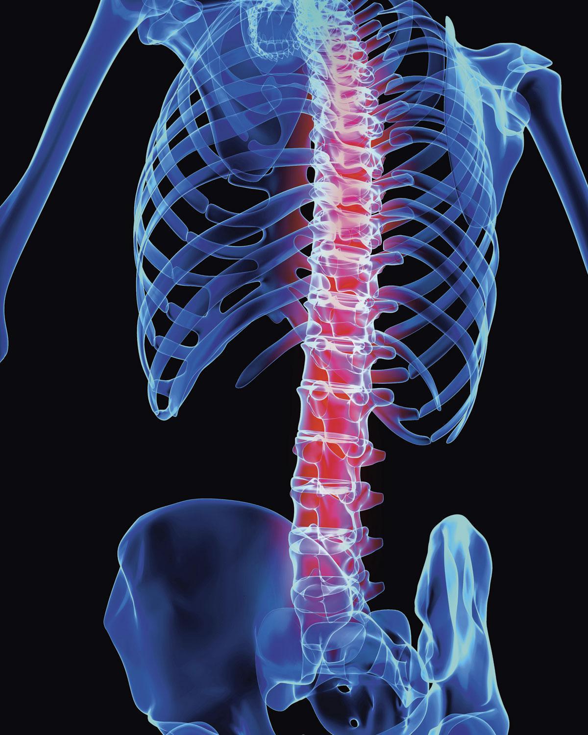 Cellen bestrijden verlamming