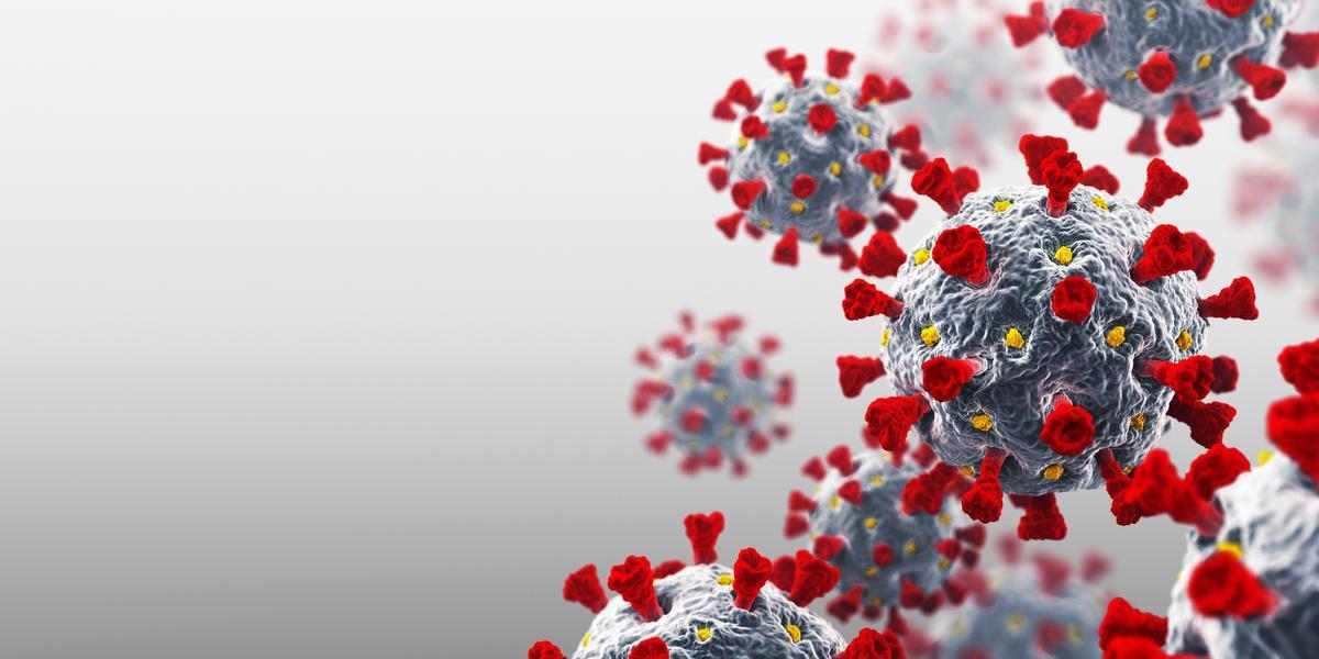 Grens met Frankrijk wordt ondanks rode zone niet afgesloten - KW.be