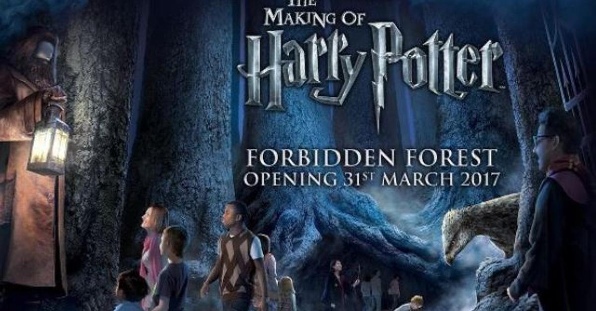 Harry Potter-fans kunnen nu ein-de-lijk zelf het Verboden Bos ontdekken