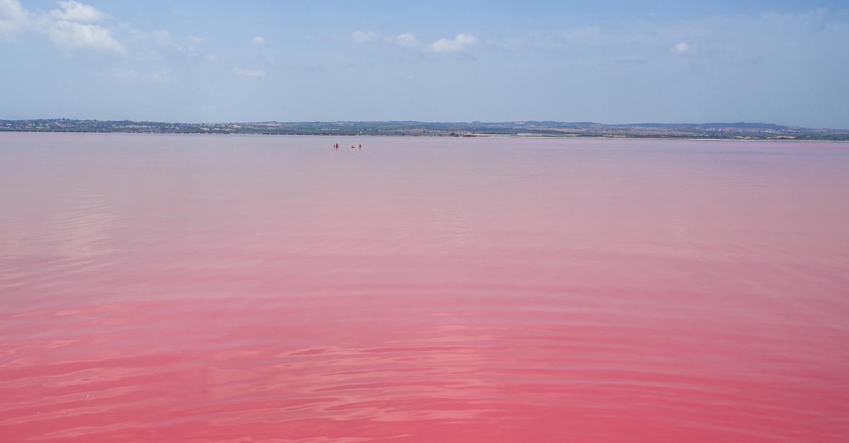 Merveilles du monde: le lac rose en Espagne