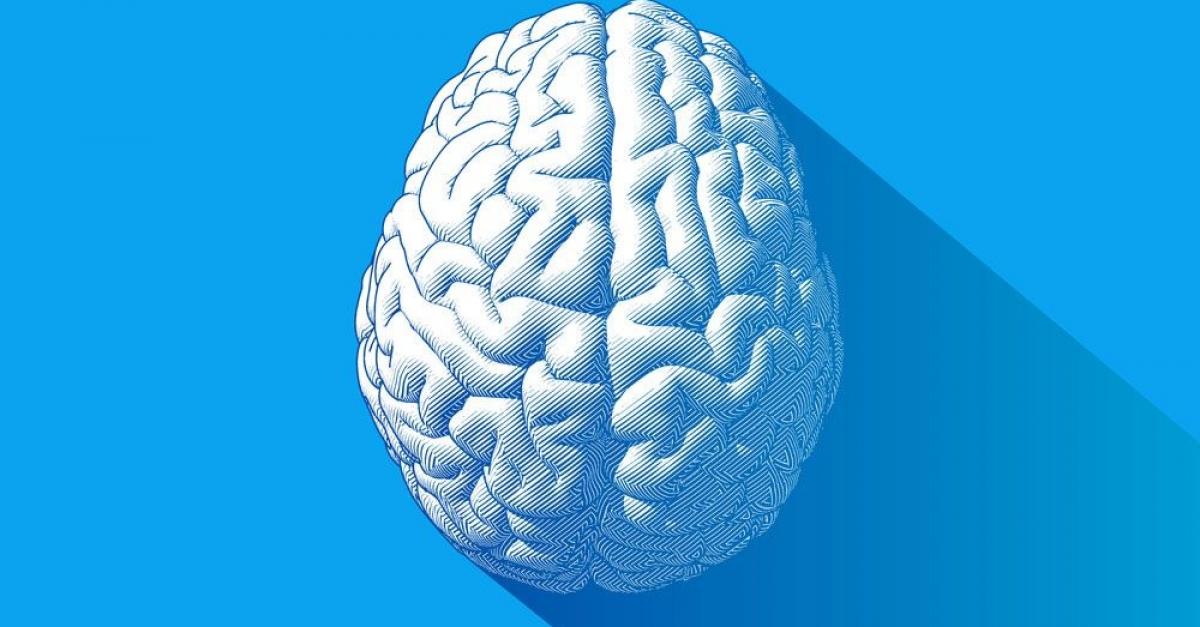 Waarom is ons brein zo groot?