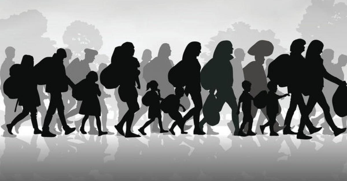 Waarom migratie (meestal) goed is voor de economie