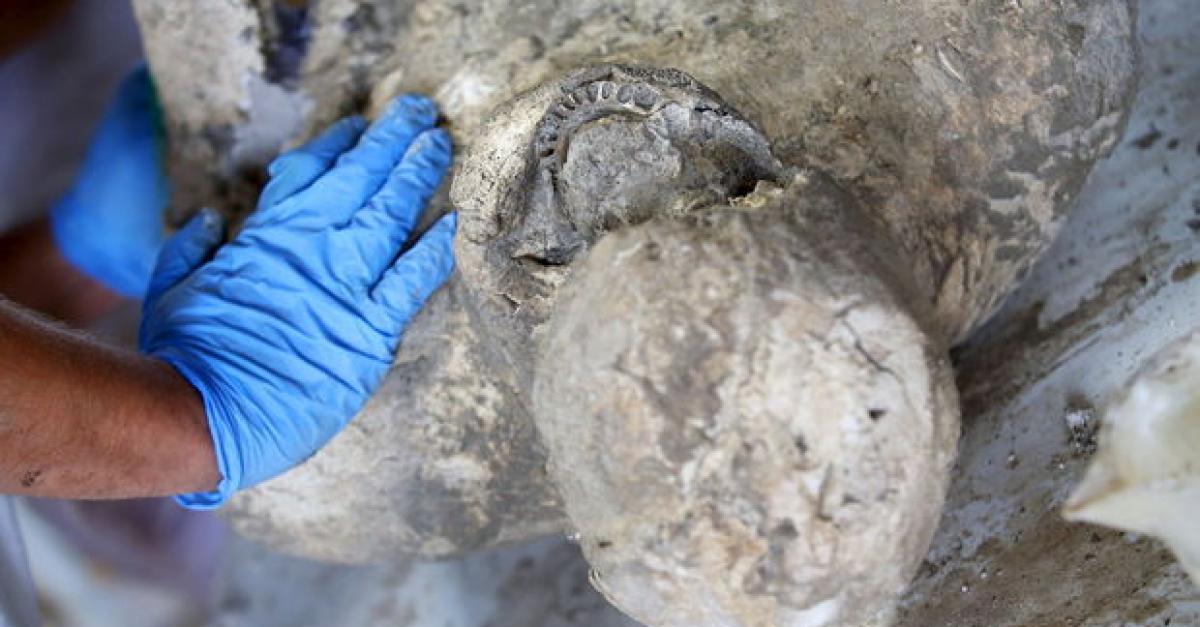 Les corps pétrifiés de Pompéi livrent de nouveaux secrets (VIDEO)