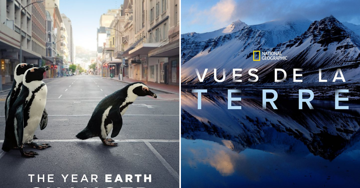 Journée mondiale de la Terre: 15 documentaires sur la nature à voir