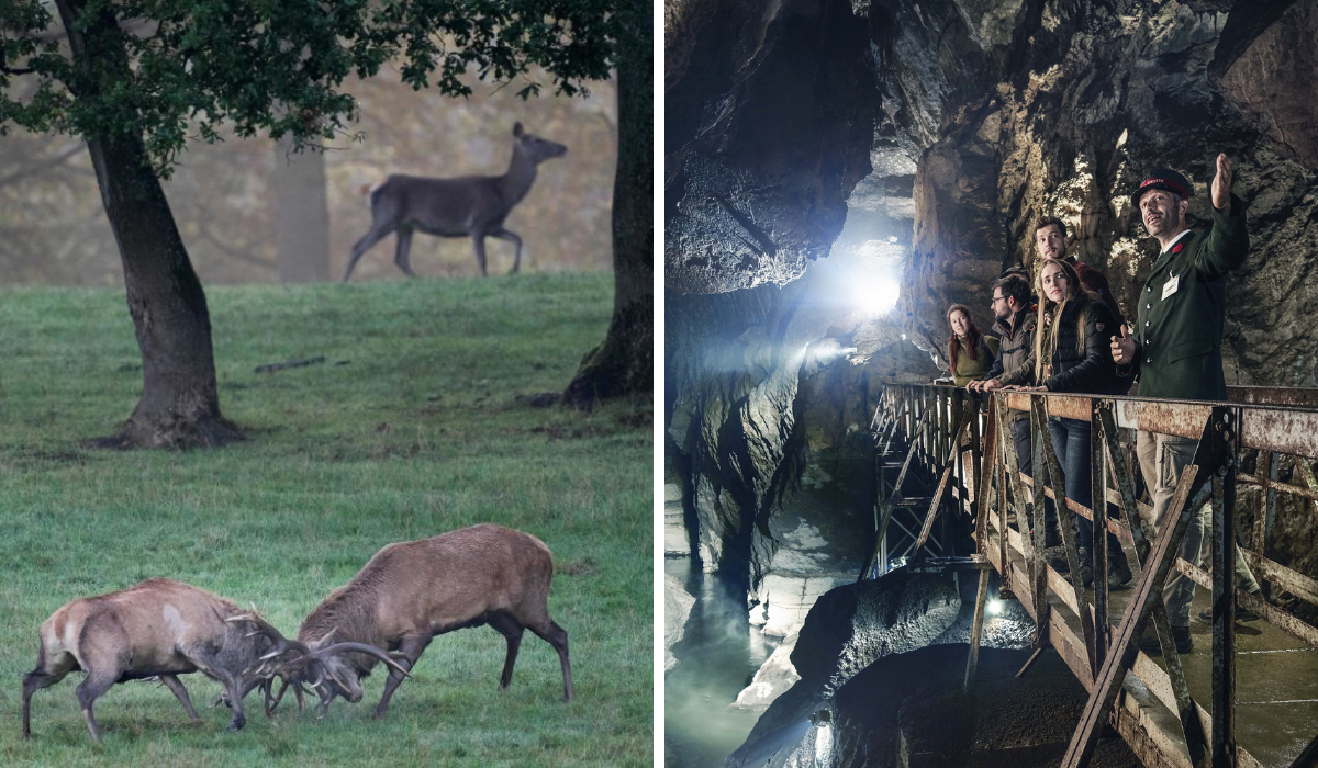 Le Domaine des Grottes de Han cherche des saisonniers pour 2023