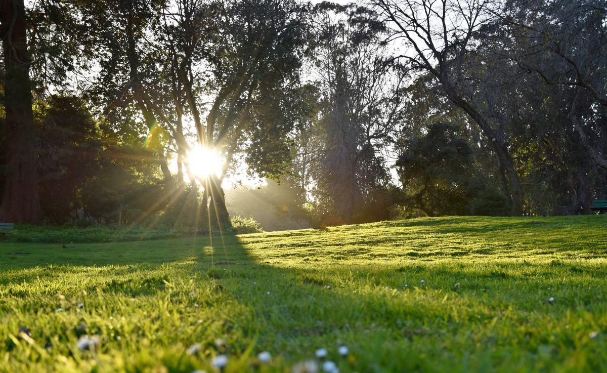 Tropisch warm met hier en daar een warmteonweer - KW.be