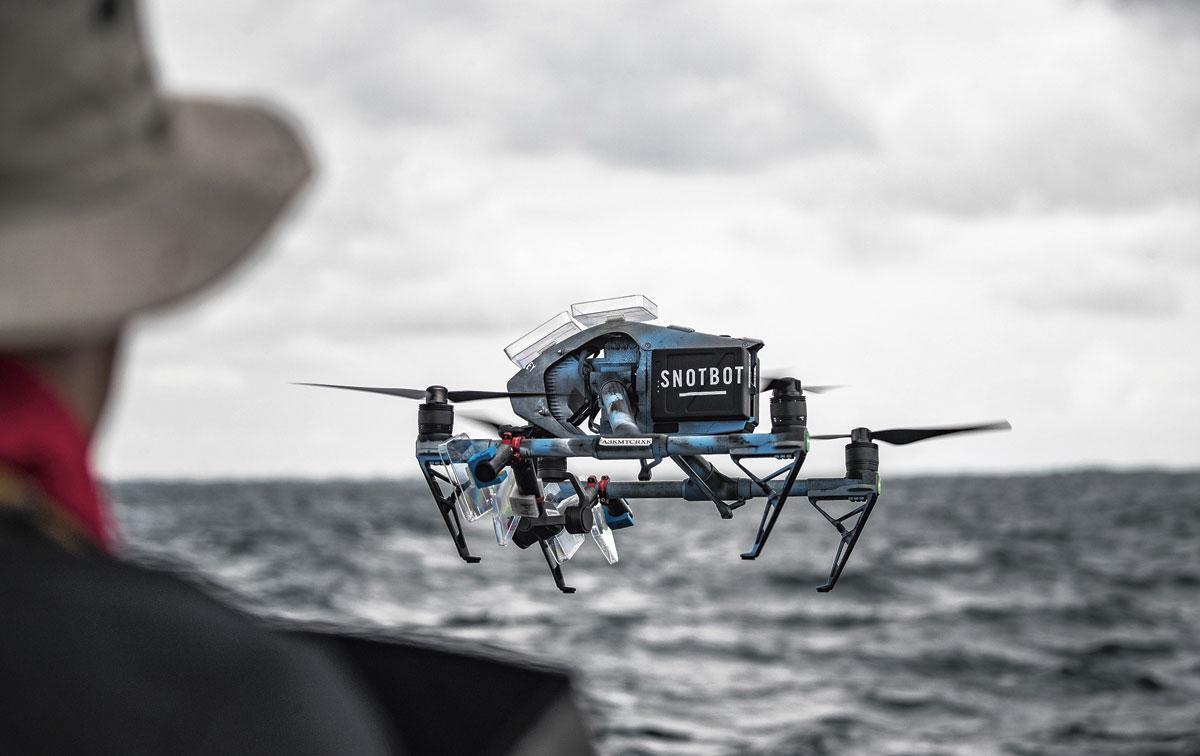 SnotBot, le drone qui permet de connaître les baleines grâce à leur mucus