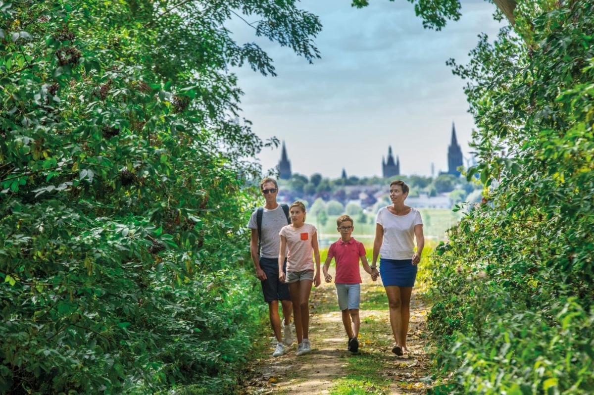 Nieuwe wandelroute in provinciedomein De Palingbeek - KW.be