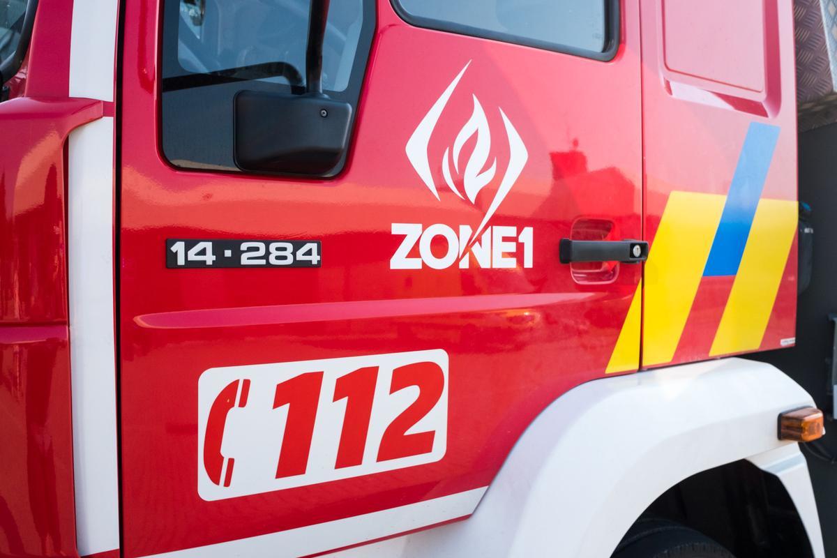 Brandweer redt zeven varkens uit aalput in Hoogstade - KW.be