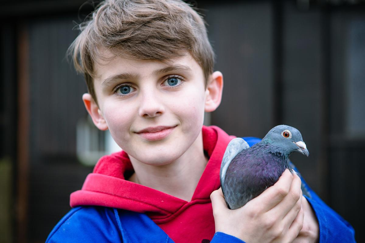 Arthur (11) is een van de jongste duivenmelkers van het land - KW.be