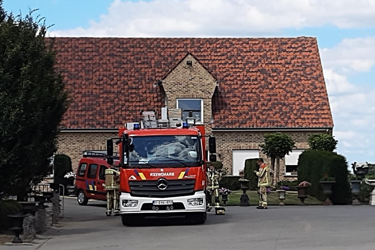 Brandweer redt varkens die door stalvloer zakten - KW.be