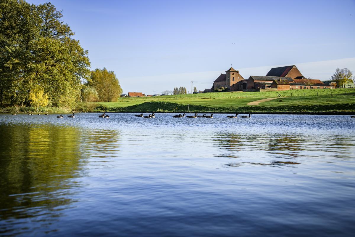 Wandelroute: de Kasteeldomeinwandeling in Pepingen - Libelle