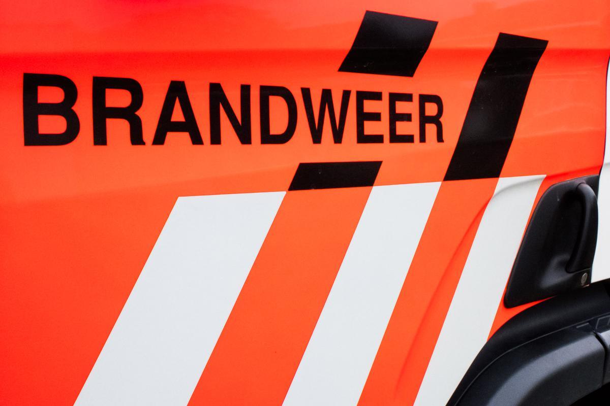 Brandweer urenlang in de weer om 34 varkens uit aalput te redden in Moorslede - KW.be