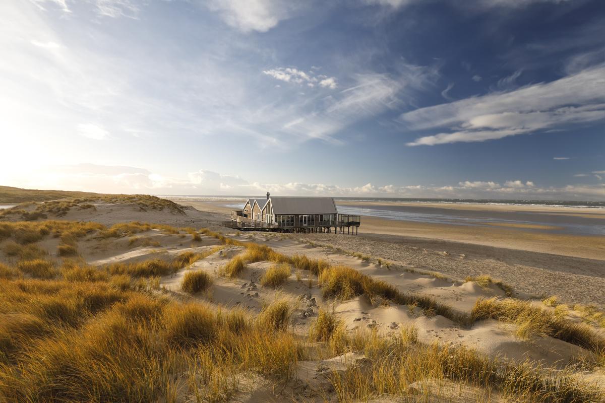 Waddeneiland Texel: wandelen, fietsen, natuur en heel veel vogels
