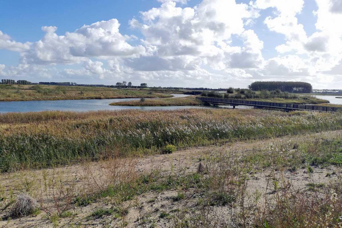 Weekend tipt: vogels spotten in het recent geopende natuurgebied ...