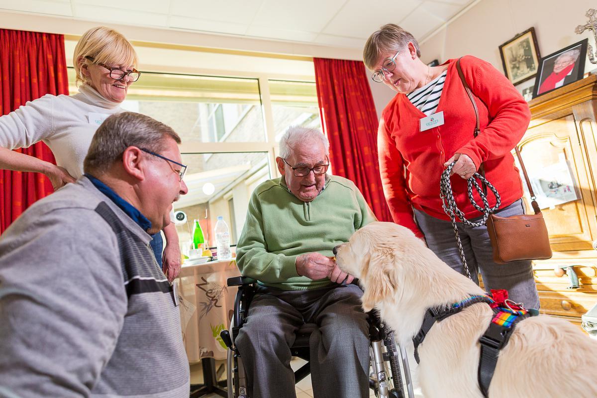 Johan en Coco zetten viervoeters in voor therapie: “Zo’n knuffelsessie ...