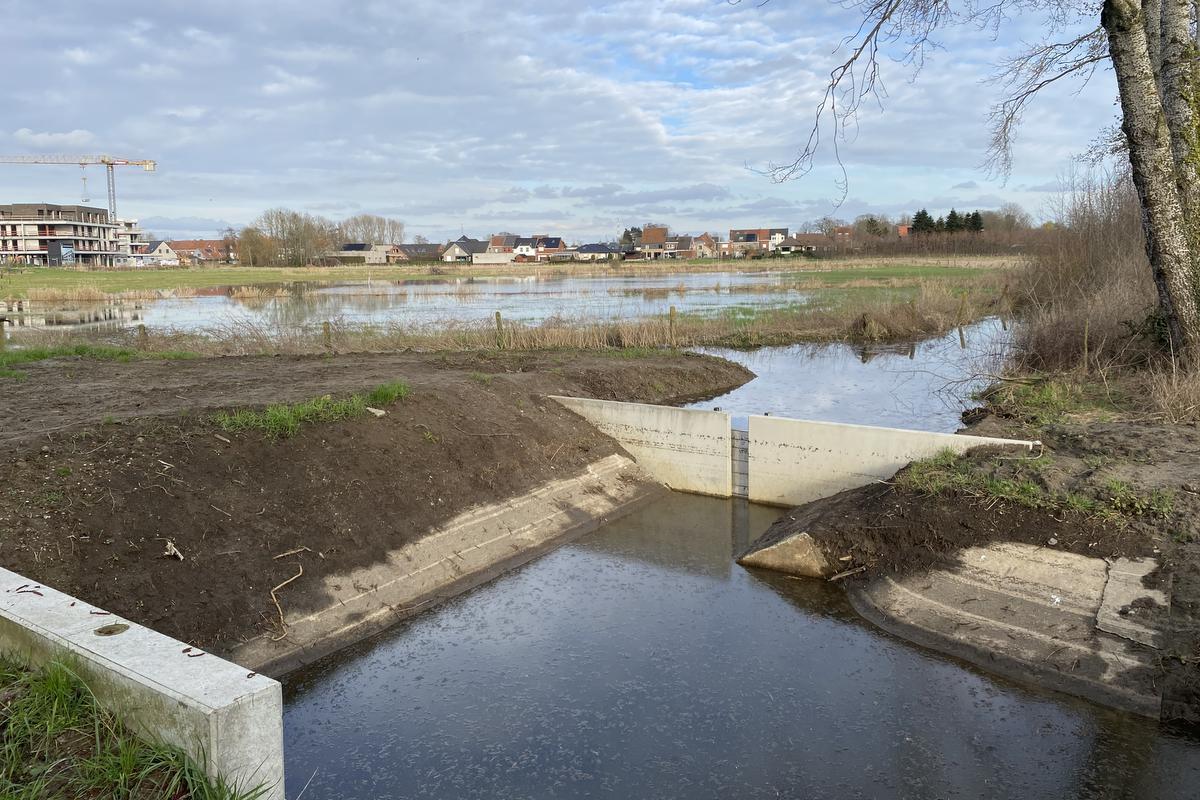Weiden in De Kleine Gavers in Deerlijk lopen stilaan onder water - KW.be