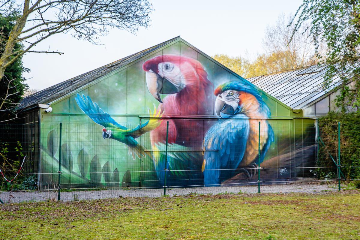 Pittemse street artist Djoels maakt muurschilderij bij Nally’s ...