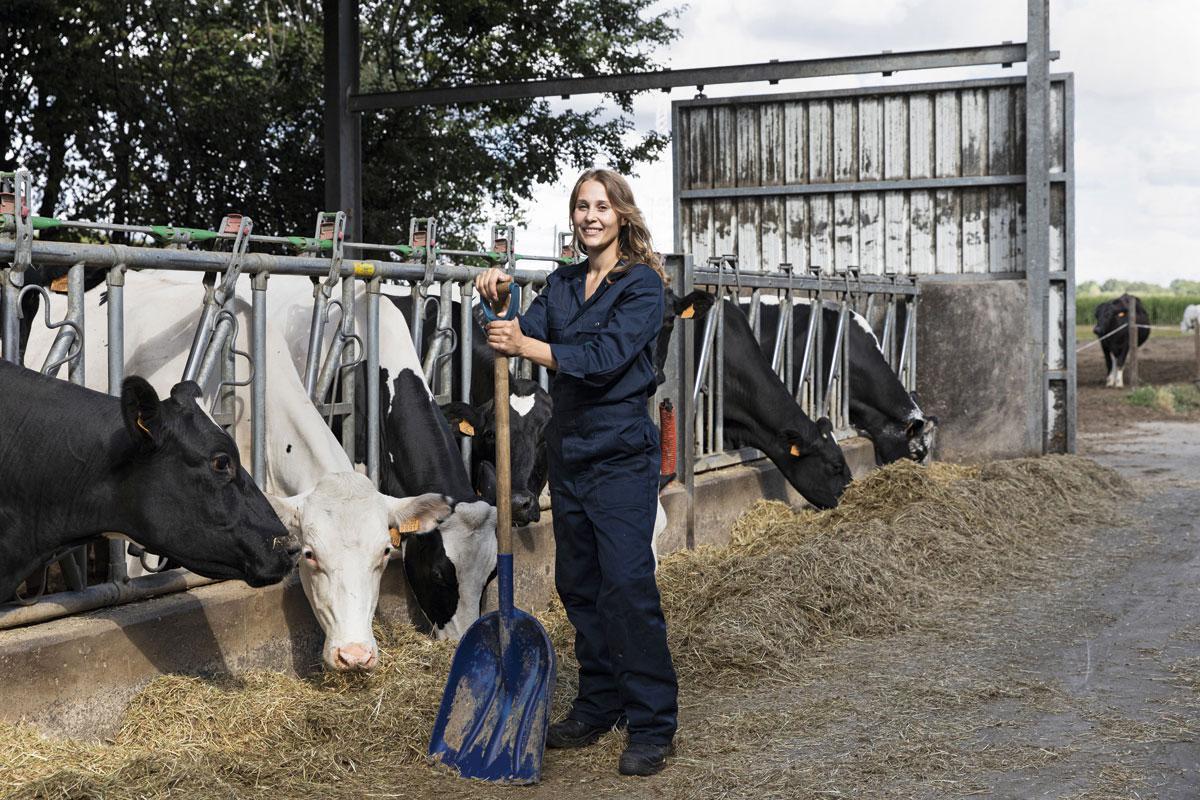 Drie jonge mensen gemaakt voor het boerenleven: ‘Laat mij maar tussen ...